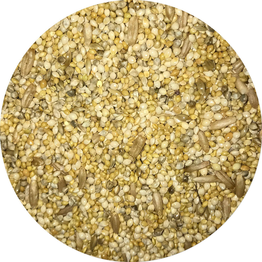 Budgie Mix – Coopers Rural & Hardware.